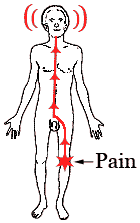 Science couldn't find the pain